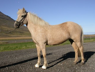 Fsu - Selfoss, Iceland - Daxing middle school nr. 1- Beijing, China ...