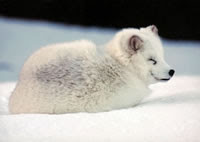 Fsu - Selfoss, Iceland - Daxing middle school nr. 1- Beijing, China ...