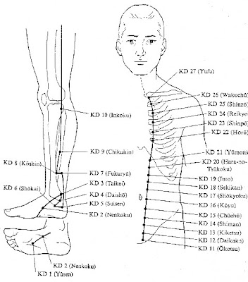 Meridian Sao Yin Kaki Ginjal | evialfadhl
