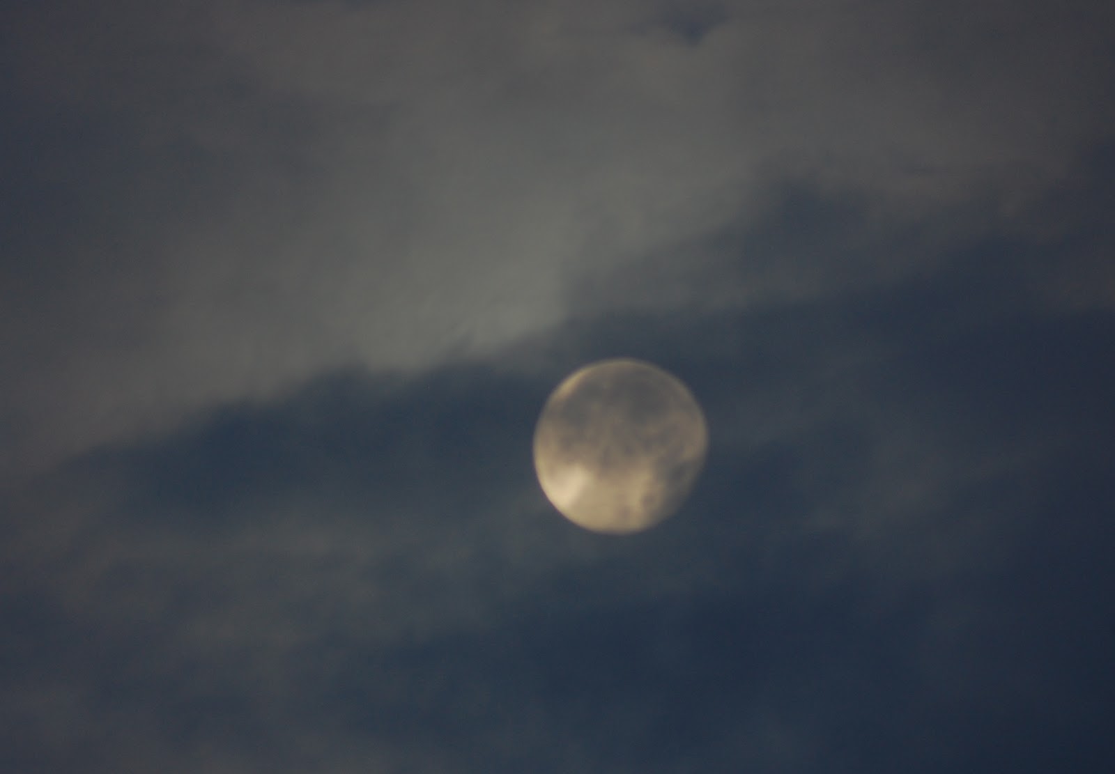 moondreamin'...: November Full Moon