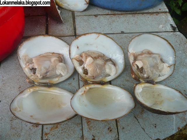 Lokan ~ lokan melaka