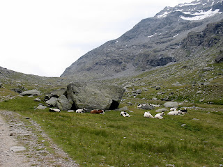 Aventure Rando: Col du Petit Mont Cenis -> col du Clapier ; 1 jour