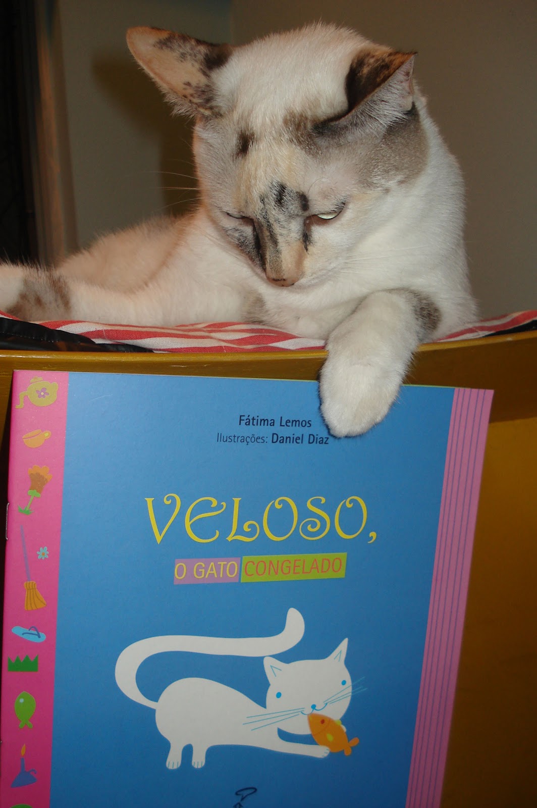 Gata Lili: Literatura com Lili: PROMOÇÃO - Veloso, o gato congelado