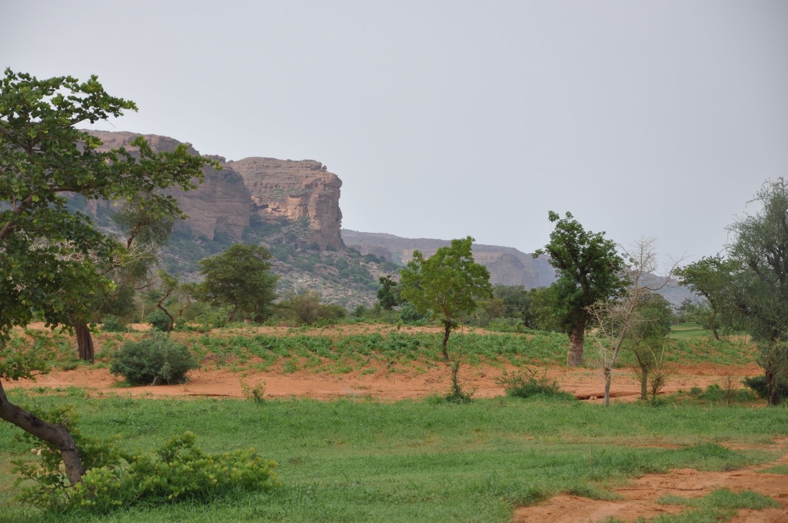 Senegal and Mali: Images Dogon Country