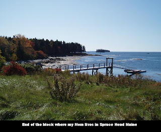 Renée Finberg ' TELLS ALL ' in her blog of her Adventures in Design ...