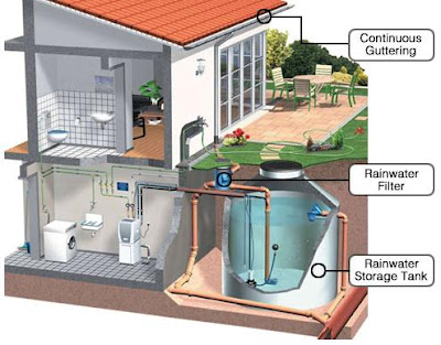 Renée Finberg ' TELLS ALL ' in her blog of her Adventures in Design ...