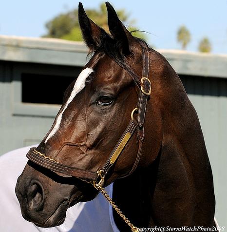 Renée Finberg ' TELLS ALL ' in her blog of her Adventures in Design ...