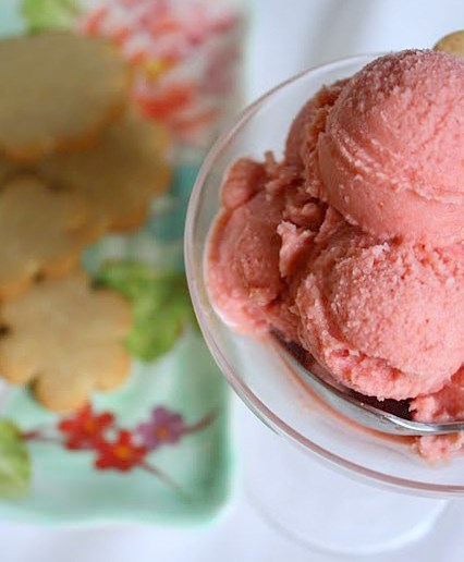 Jane's Sweets & Baking Journal: Tart Cherry Frozen Yogurt with Crispy ...