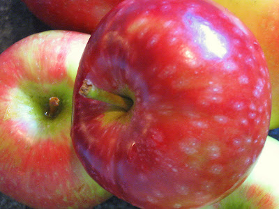 Jane's Sweets & Baking Journal: Dutch Apple Cake . . . History Will ...