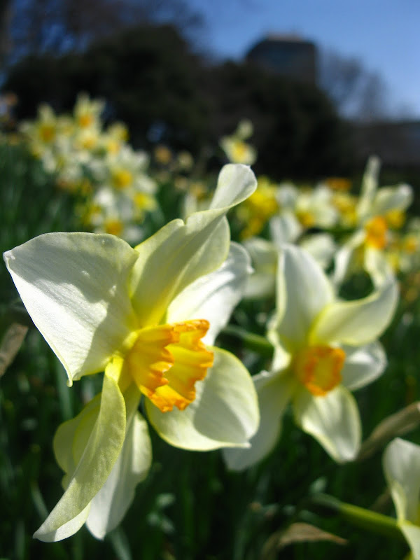 Aku, Warna & Cahaya: Musim Bunga di England & Wales