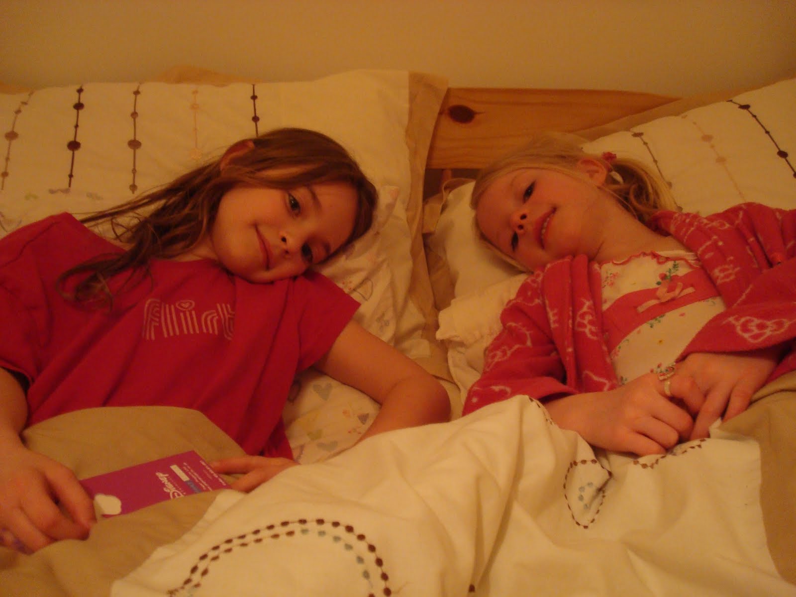 Life in Leicester: 1st Sleepover for S.