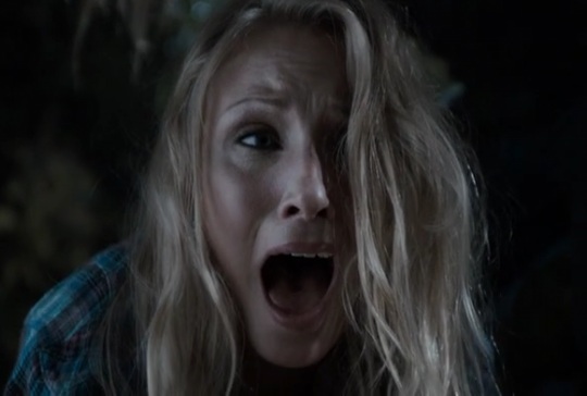 CREEP HOUSE: ADAM GREEN'S HATCHET II REVIEW