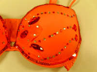 Carnival addicts: Make way for Carnival 2010 ( Monday Bra tutorial inside)