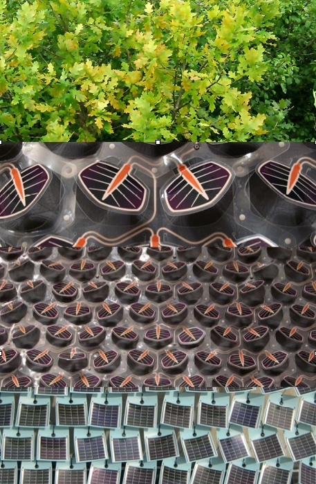 Eco-Tecture: Leaves - Photovoltaic Panels