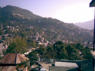 Natural Wealth: Solan