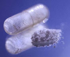 Drogas: Presentación Información De Drogas