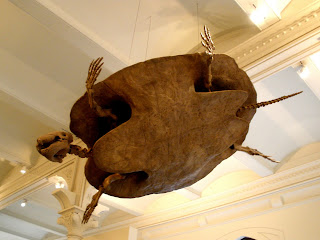 The Lord Geekington: Stupendemys: Giant Amongst Mega-Turtles