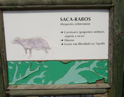 Five Parts of Me: "Saca Rabos II"