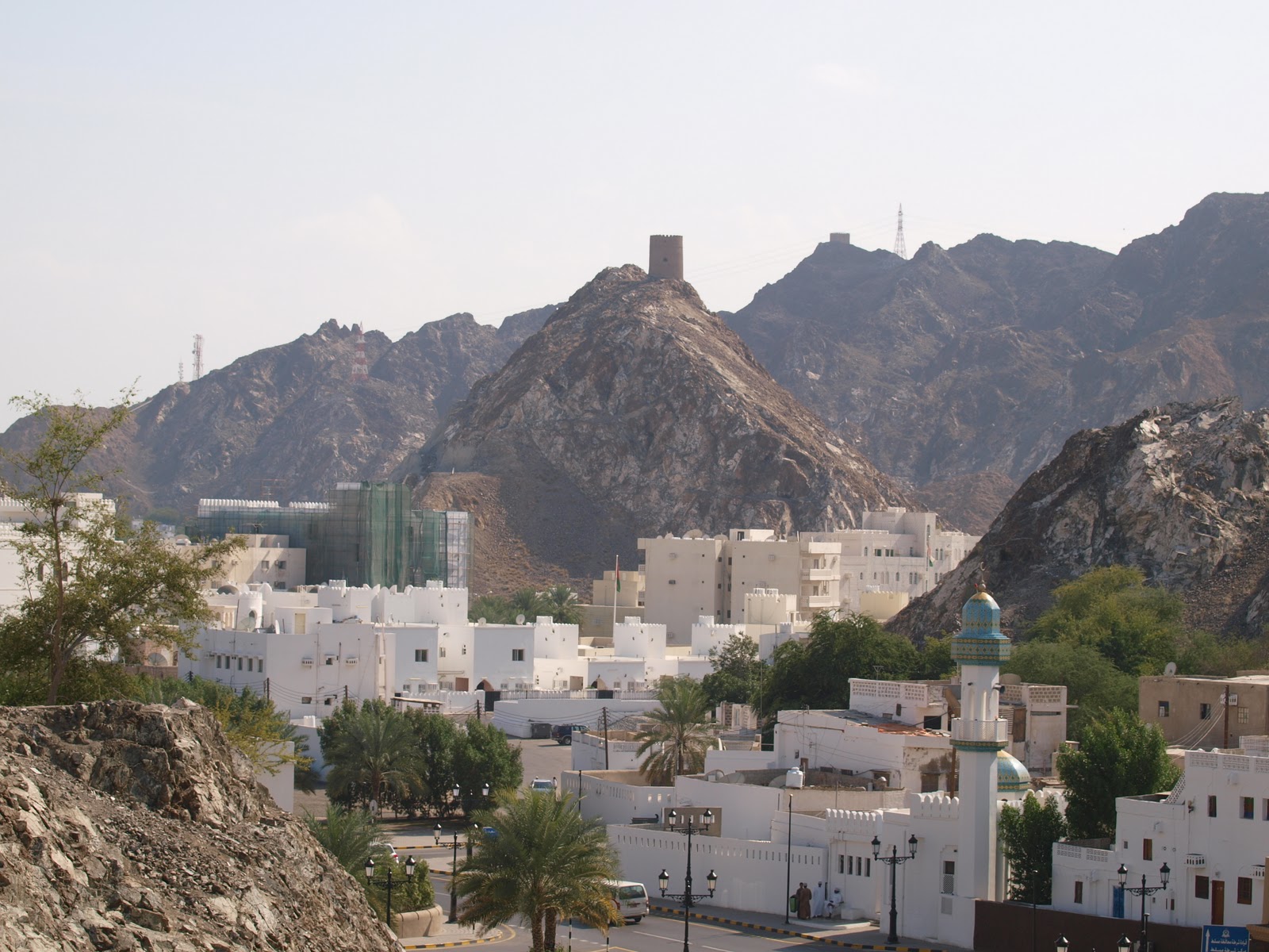 Richmond upon Thames Daily Photo: Muscat Moments 19 - # 15/2011