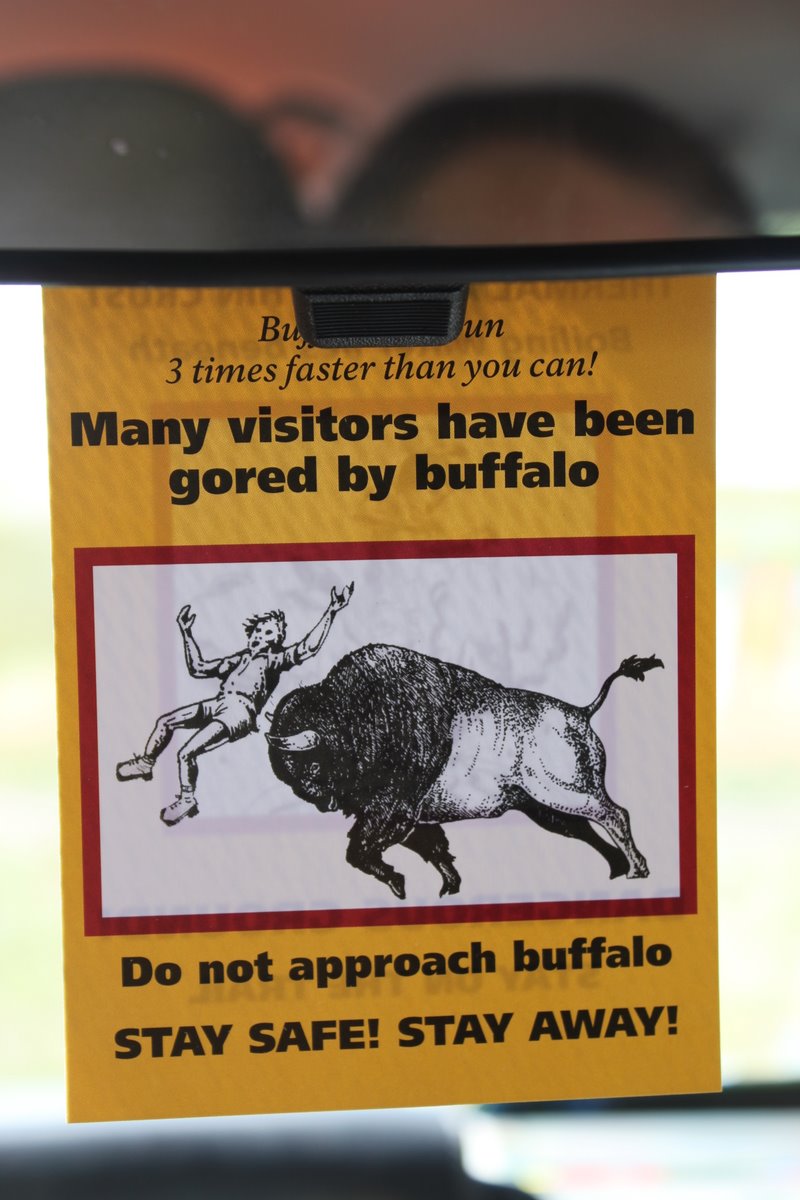 Ropeless: Do Not Approach Buffalo!!