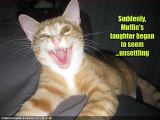 Dog Days of Seattle: Understanding Your Evil Mastermind (Cat)