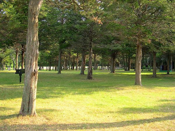 Northeastern Excursions: Cedar Point County Park Pictures