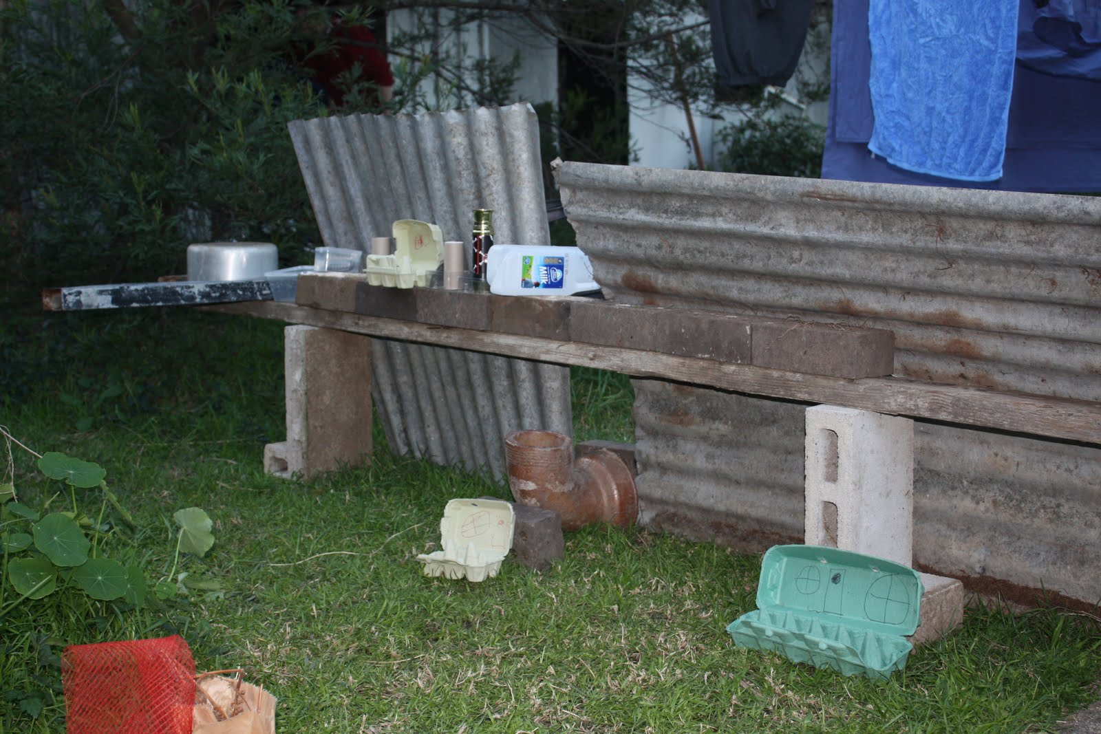 Chookie's Back Yard: Chook Dome Maintenance