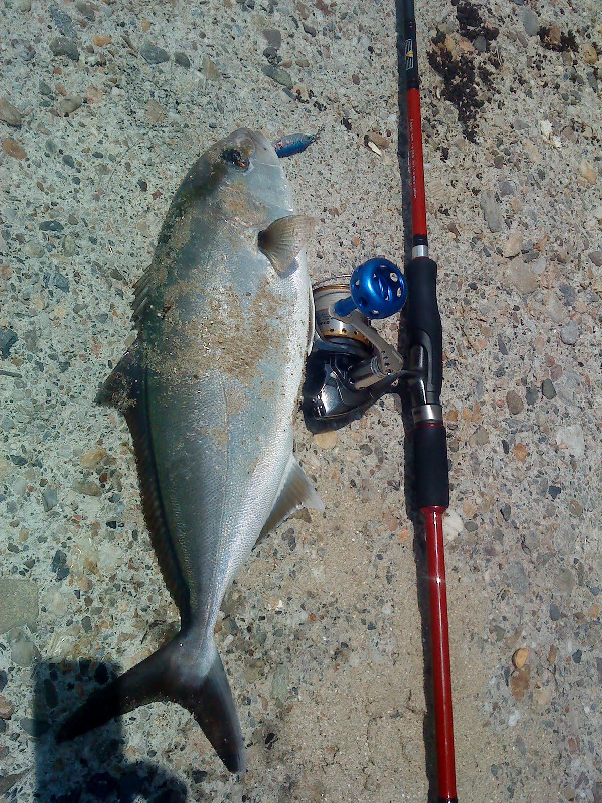 El loco del Fraile: Una de Jig Casting