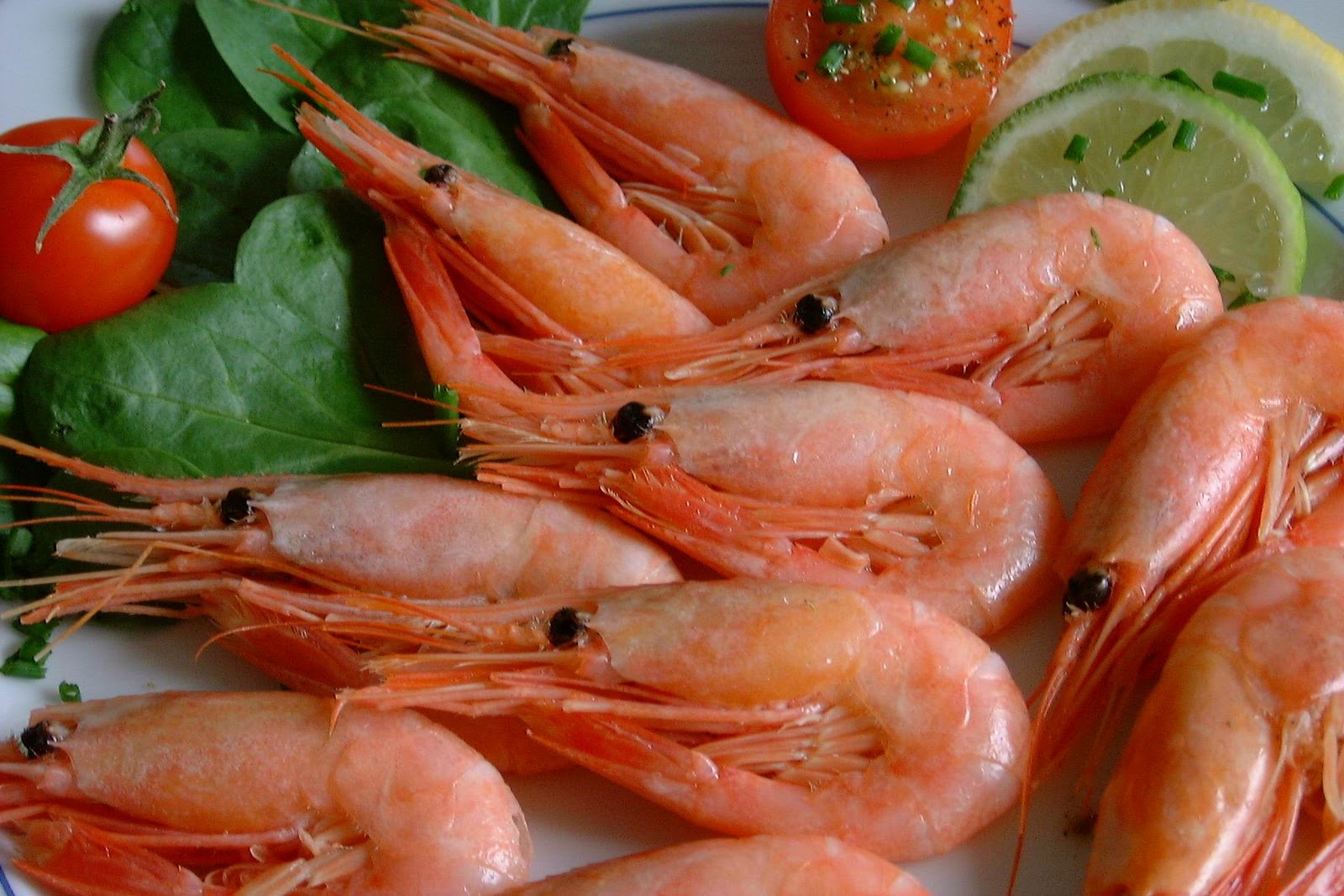 French 10&11 Portfolio: DOSSIER 7