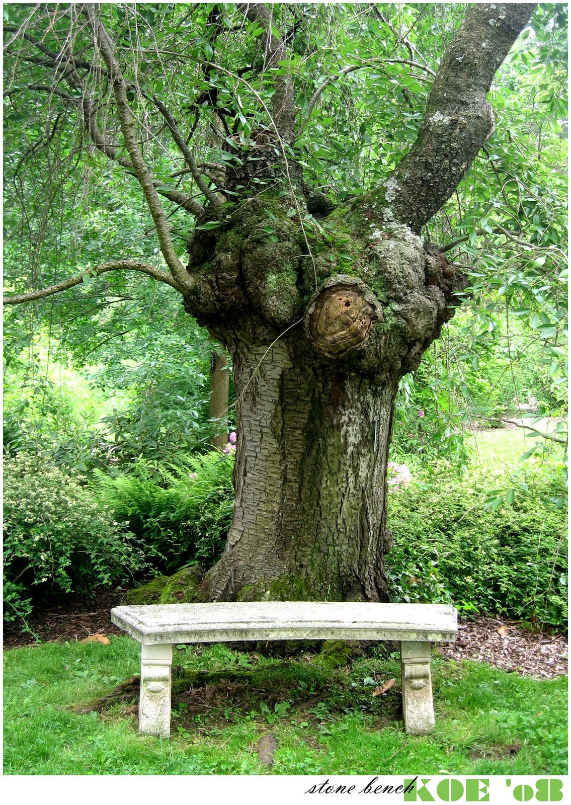 SIDE STREETS: Reeves-Reed Arboretum, Summit, NJ