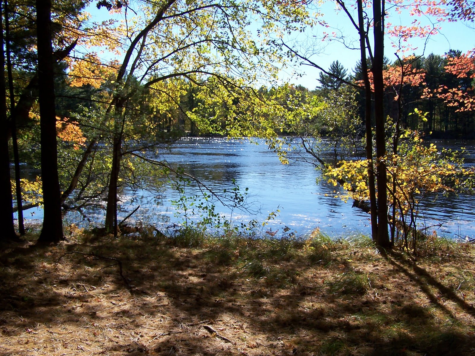Powered By Pedals: Green Circle Trail, Stevens Point WI, September 30, 2010