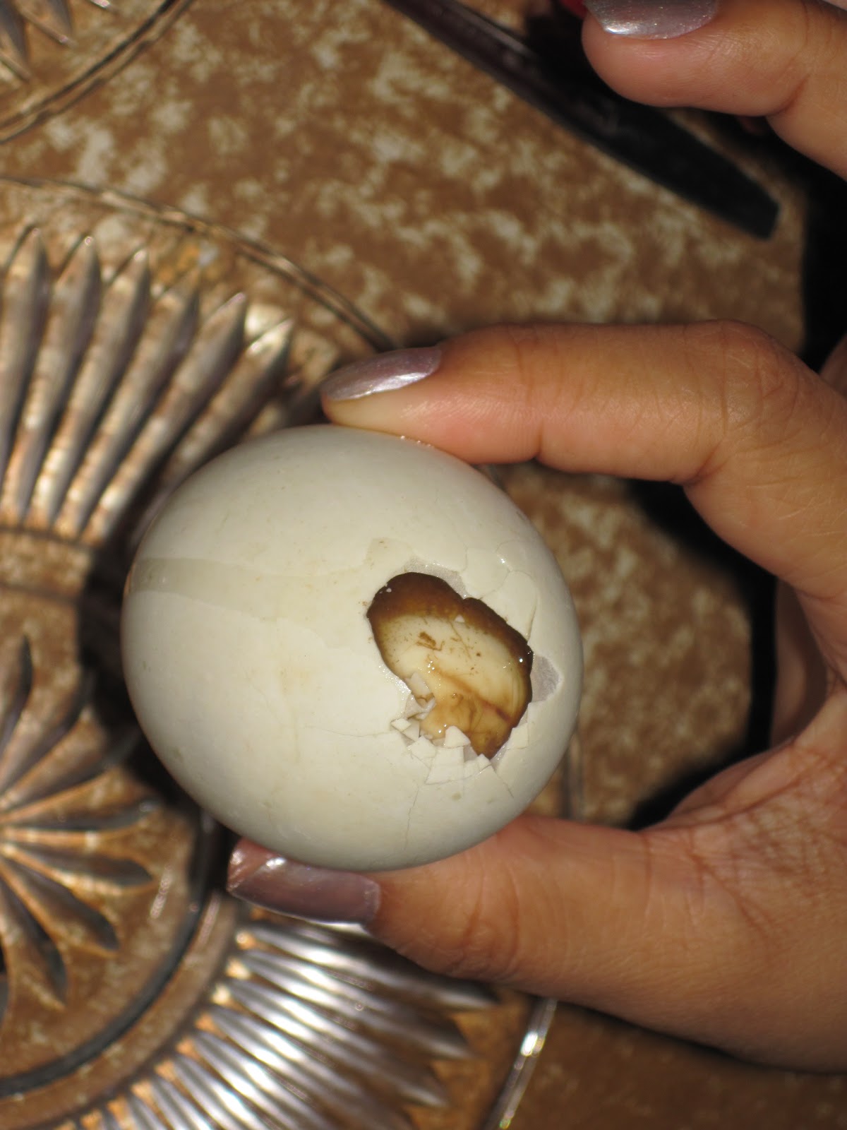 Country Gourmet Traveler: Philippines Part one, eating Balot!!!