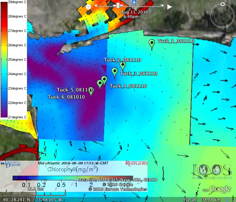 Ecology of Coastal Ocean Seascapes: A brief pelagic interlude
