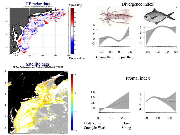 Ecology of Coastal Ocean Seascapes: What makes some parts of the ocean ...