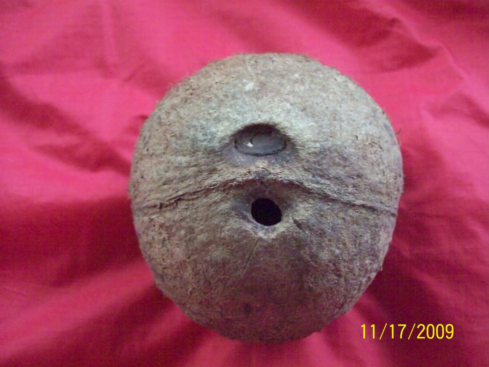 Mindanao Bator Group: Tagabulag/Tagolilong Gamit Ang Bao Na May Solo Ojo