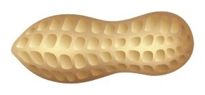 Art & Design: How to Make a Peanut