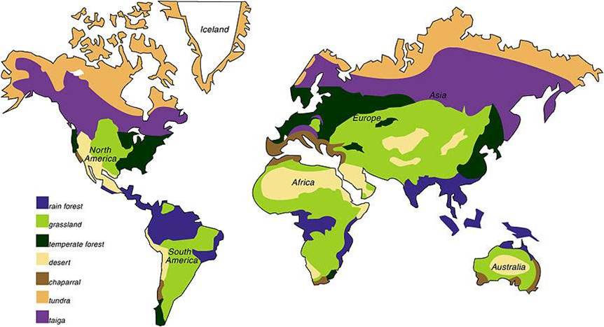 BIOMAS DEL MUNDO: AREAS NATURALES PROTEGIDAS DEL PERÚ