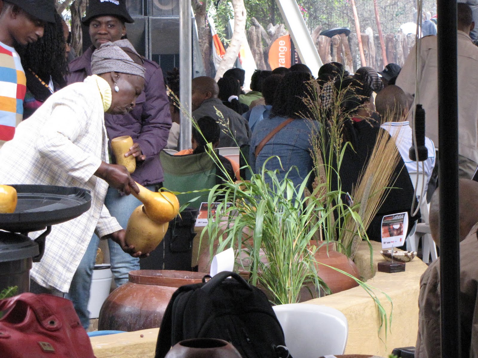 SHINNanigans: Letlhafula