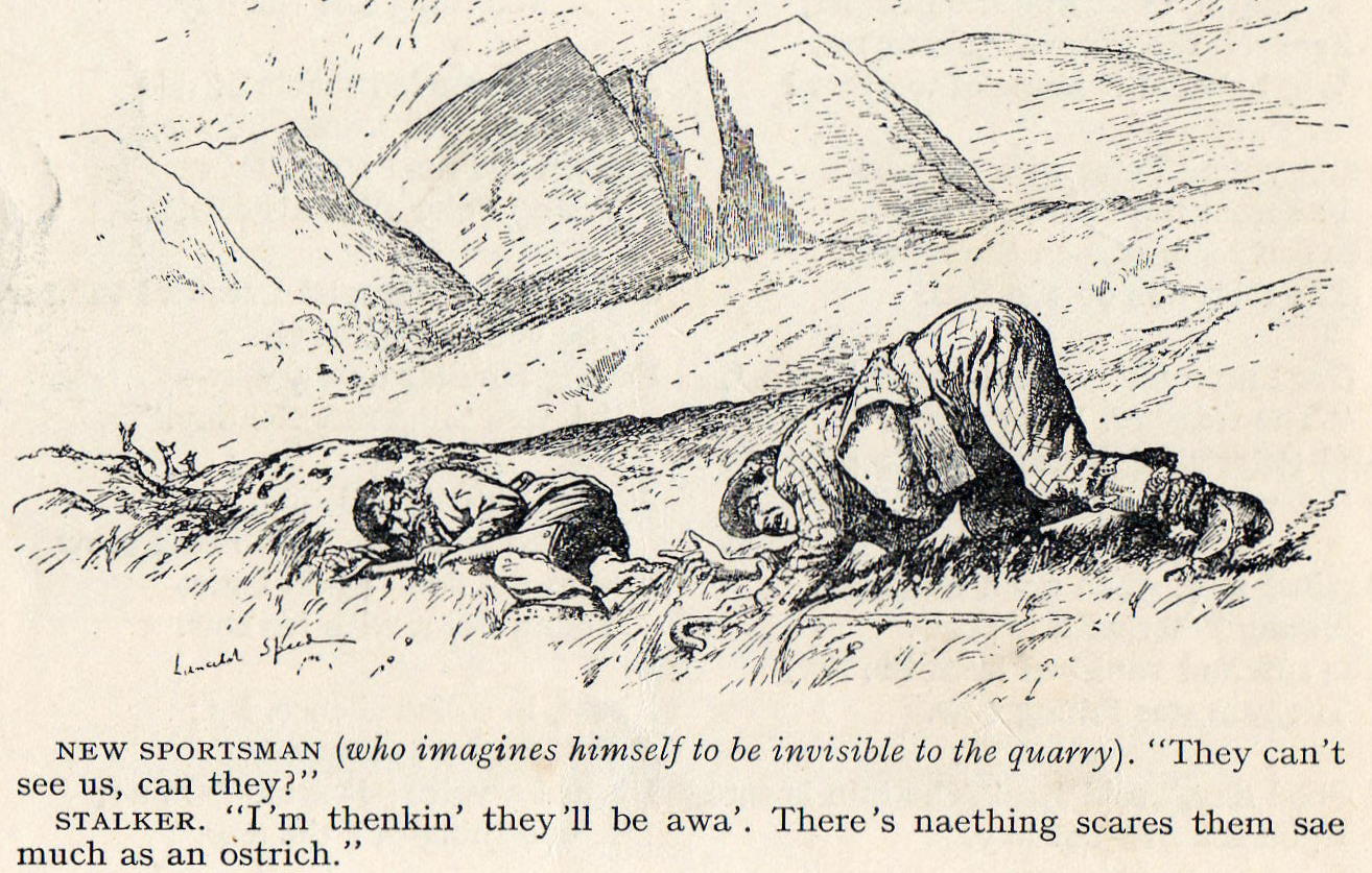 CARTOONS OF OLD: BURNS NIGHT - 25 JANUARY
