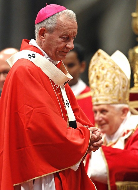 A new pallium