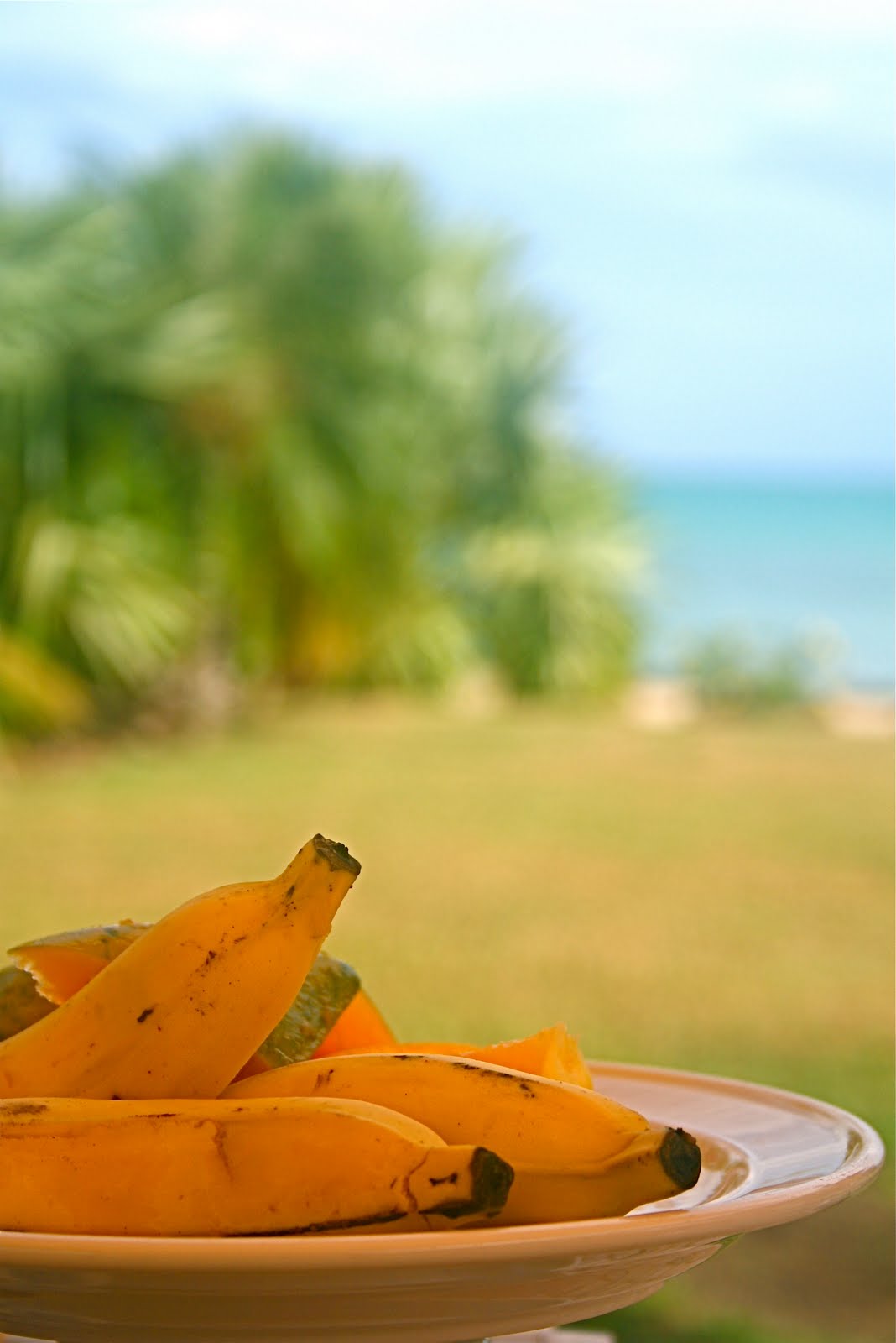 Alessandra Zecchini: A Vegetarian in Samoa