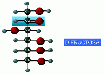 NUTRIMINUTOS: ES LA FRUCTOSA DAÑINA PARA LA SALUD DE LOS HUMANOS?