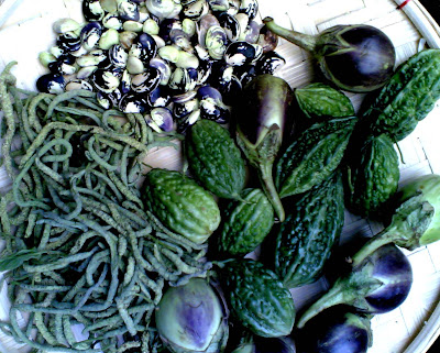 Living with Nature - School on Blog by Dr. Abercio V. Rotor: Papait ...