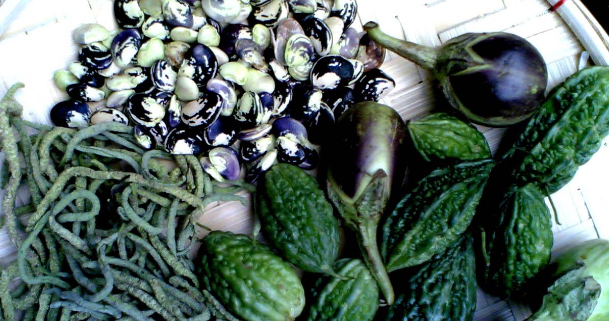 Living with Nature - School on Blog by Dr. Abercio V. Rotor: Papait ...