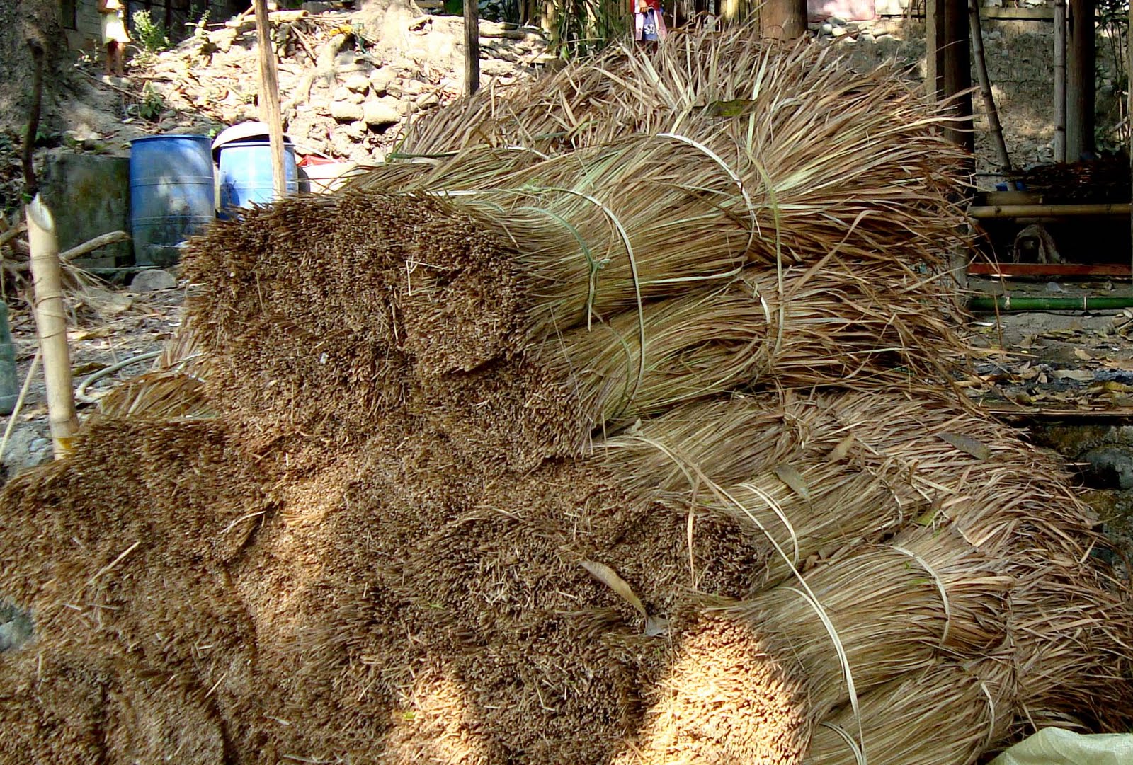 Living with Nature - School on Blog by Dr. Abercio V. Rotor: Cogon Roofing