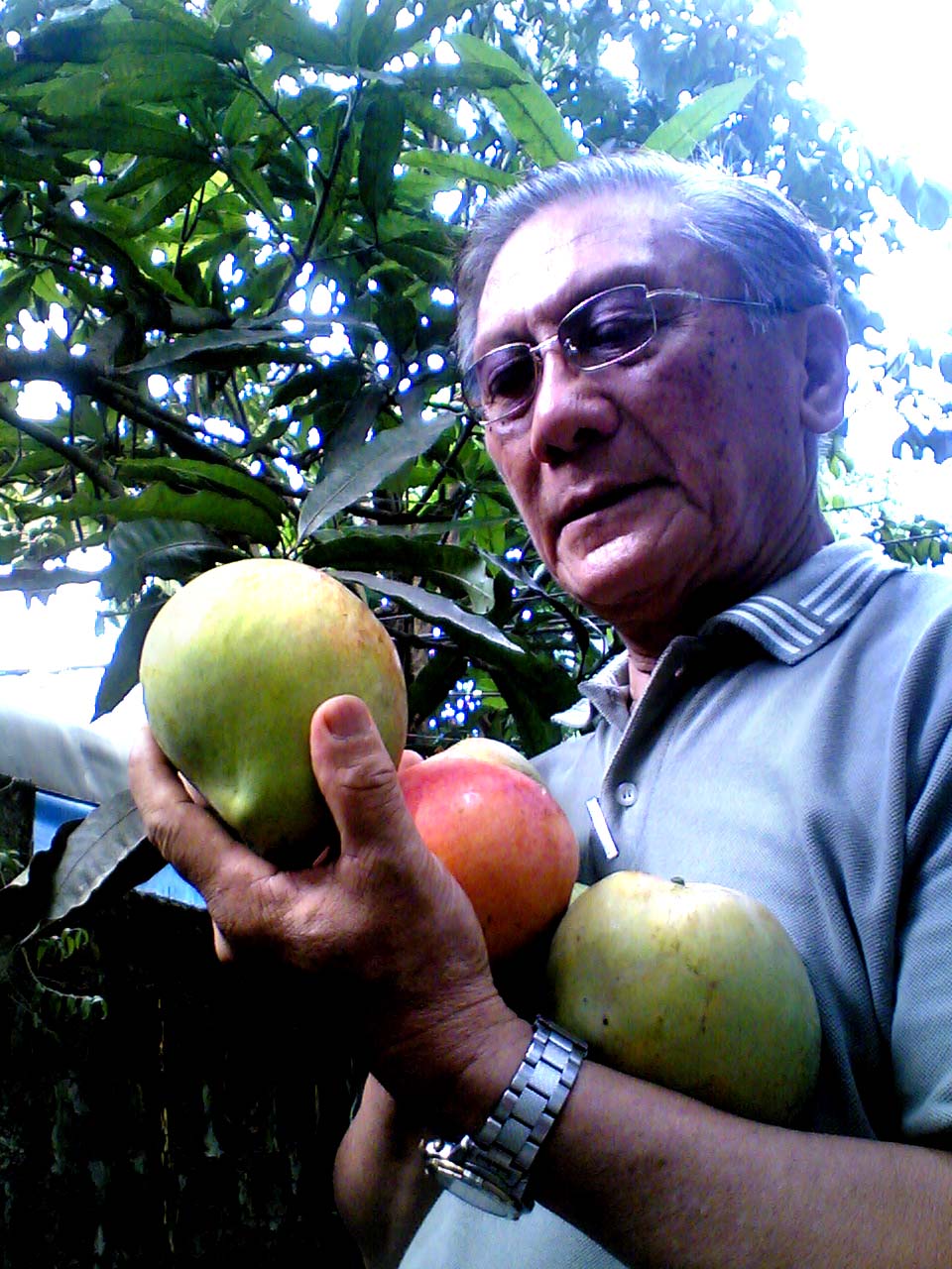 Living with Nature - School on Blog by Dr. Abercio V. Rotor: Part 3 ...