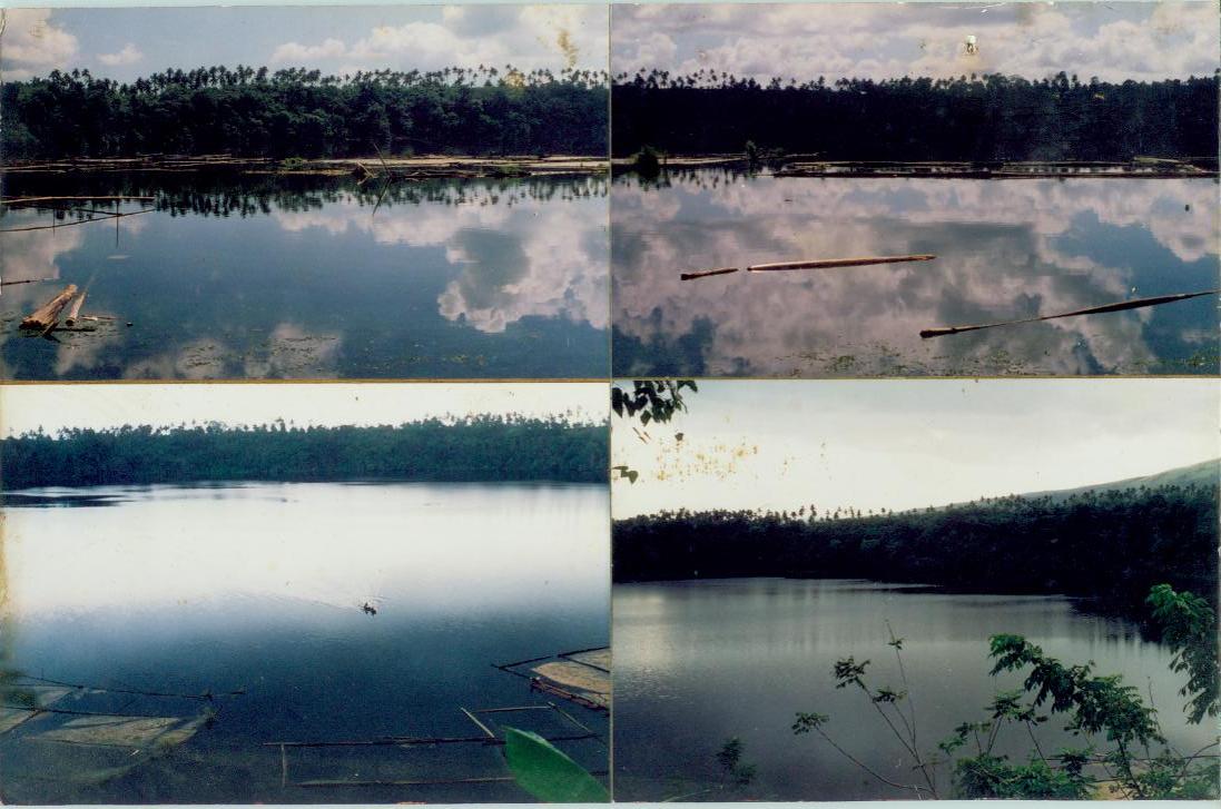 Living with Nature - School on Blog by Dr. Abercio V. Rotor ...