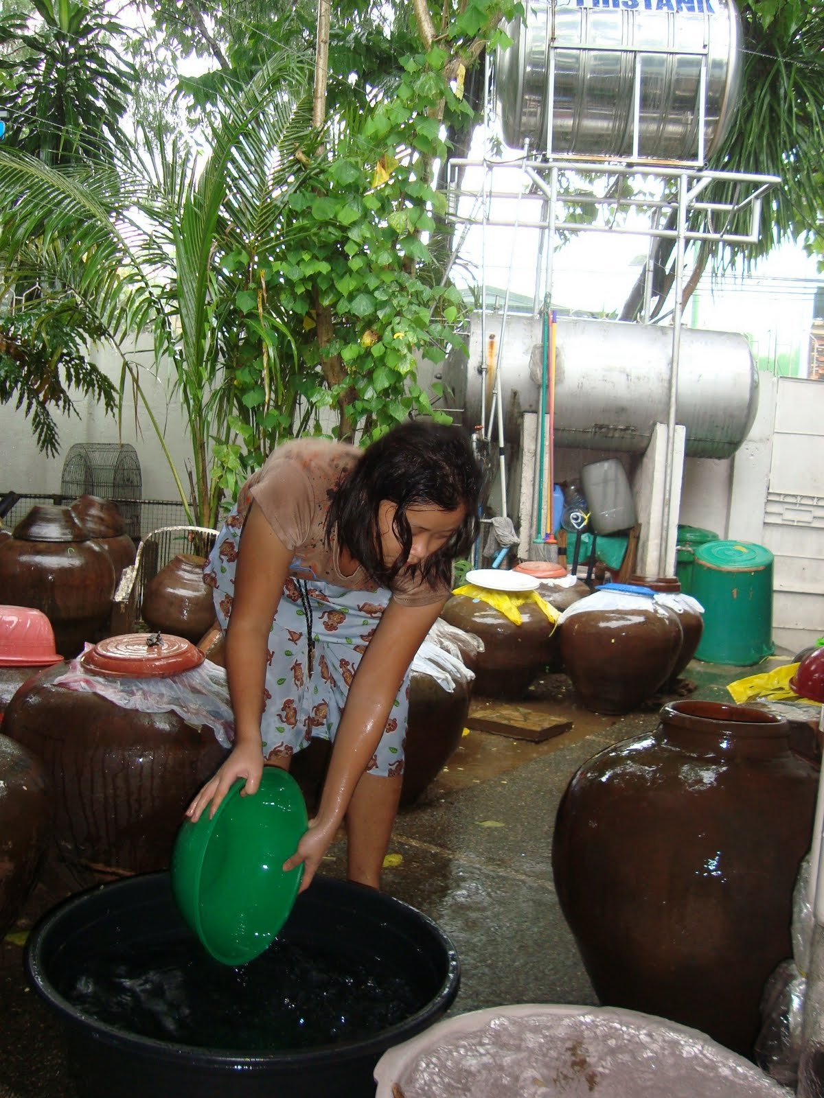 Living with Nature - School on Blog by Dr. Abercio V. Rotor: The ...