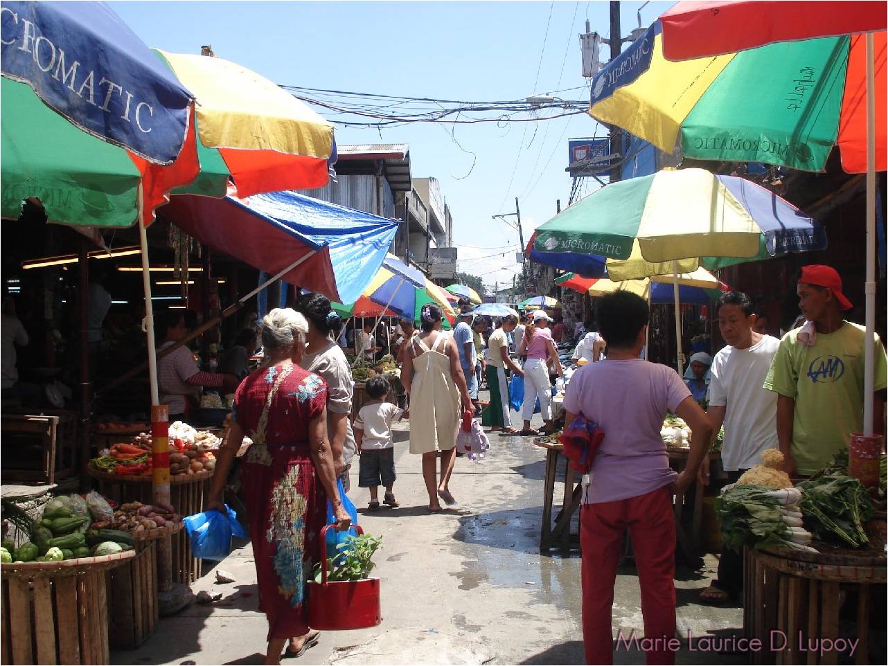 Living with Nature - School on Blog by Dr. Abercio V. Rotor: Talipapa ...