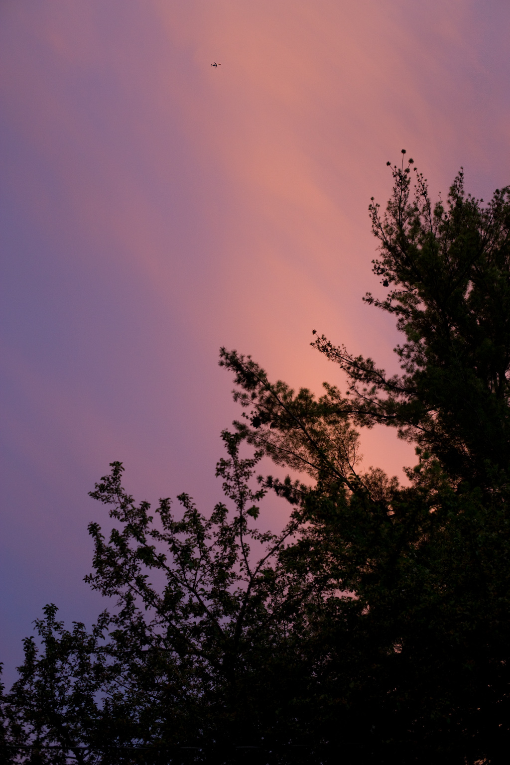 Bob Durling: Jet, trees, setting sun